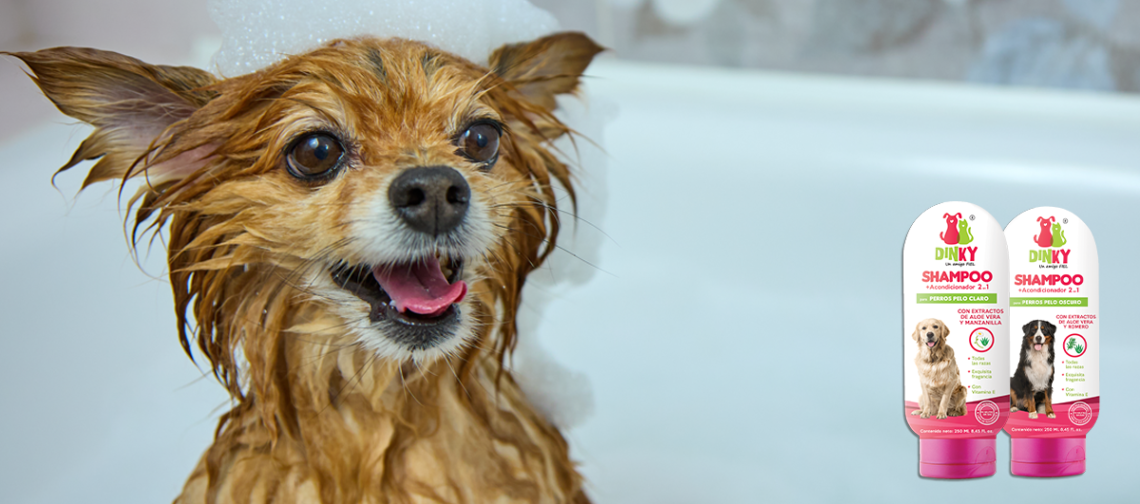 El shampoo ideal para el color del pelo de tu perro - Dinky