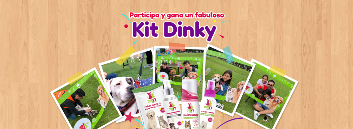 Actividad Nuestra Familia Dinky - Dinky